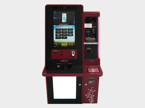 Accessible Kiosk as an e-Government Service: Feedback from Persons with ...